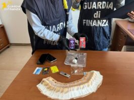 GdF Termoli: sequestro hashish, denaro e taser, due denunciati
